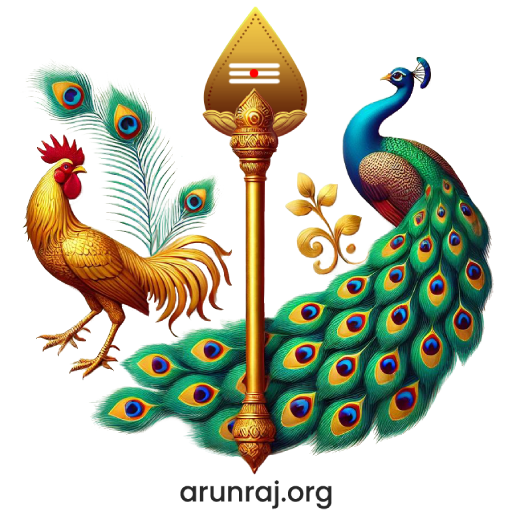 Contact – Arun Raj Foundation | Get in Touch